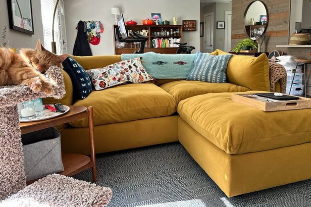 Couch Potatoes: Trusted for Quality, Loved for Style — Oh Yeah!